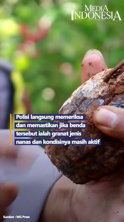 Geger Penemuan Granat Nanas Diduga Sisa DI TII di Ciamis - YouTube