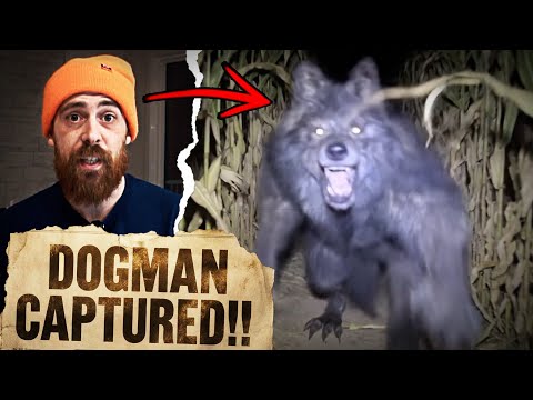 This New Dogman Footage is Disturbing...