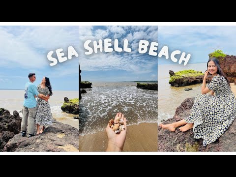Sea shell beach Goa 🤩 South Goa #goa #seashell #goawalebeach - YouTube