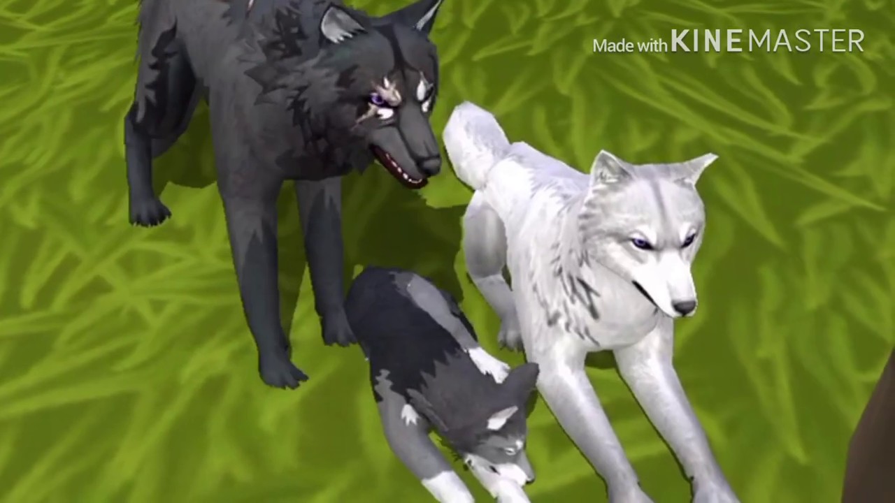 The Wolves - Part 1 (Feat. SandStorm WildCraft) - YouTube