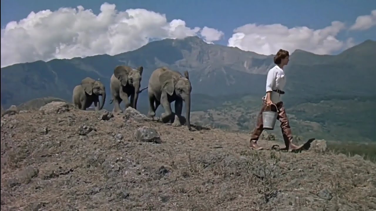 Hatari! (1961) 하타리 / Baby Elephant Walk ost 아기 코끼리의 걸음마 #hatari # ...