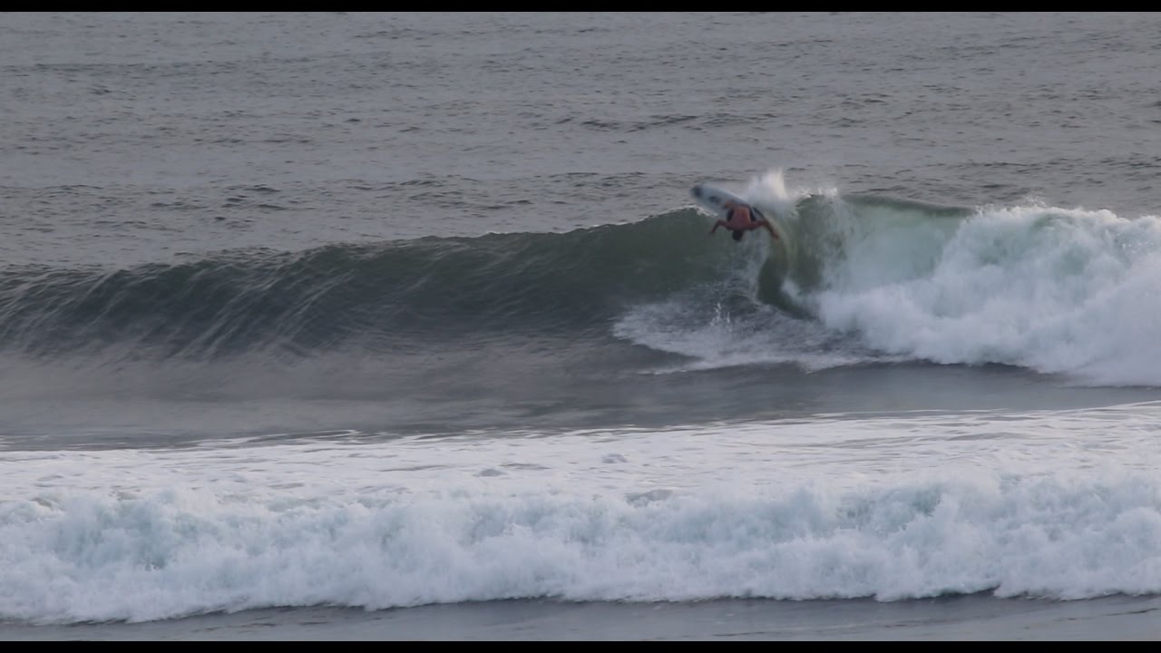 Joss Ash Shark puppies. - YouTube