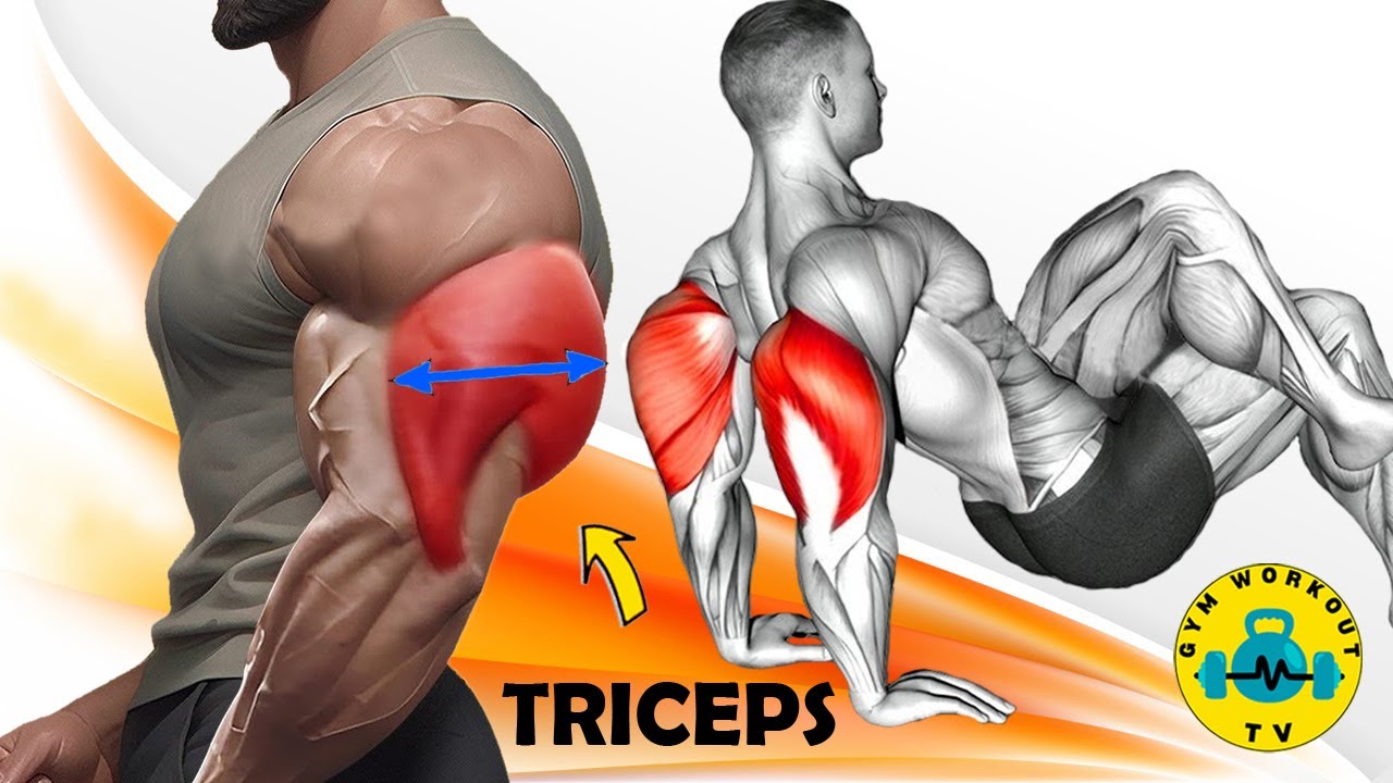 The Ultimate Triceps Workout for mass | Get Bigger Triceps In 3 Minutes ...