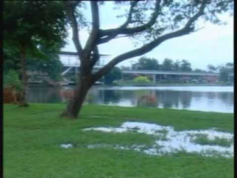 Burung putih - Dewi persik