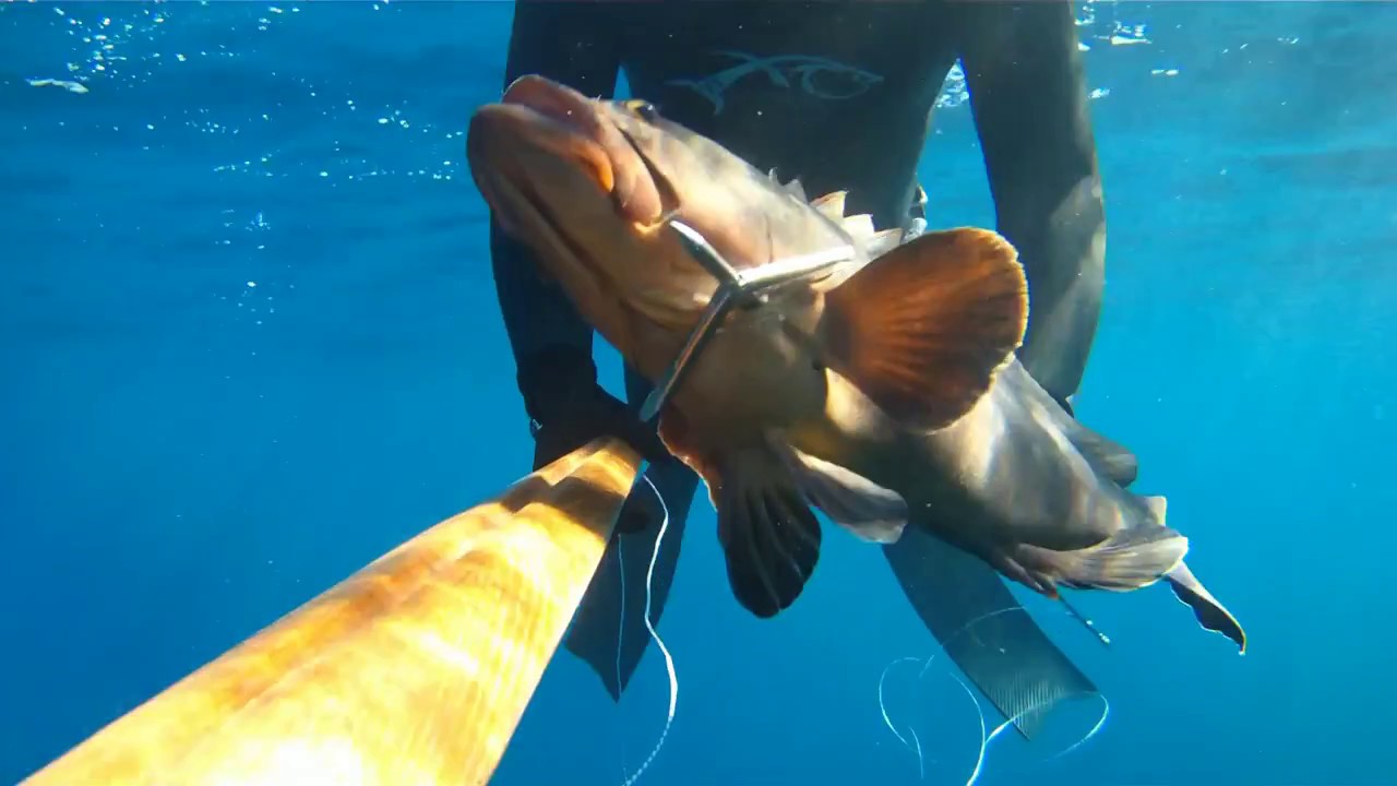 ψαροντουφεκο και ρηχα και βαθια-spearfishing Sakis Tsonis - YouTube