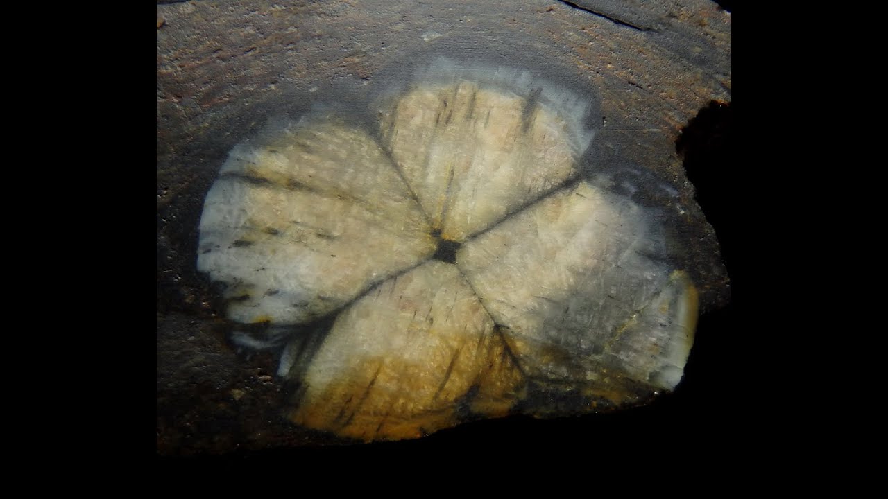 ANDALUZYT - CHIASTOLIT - Hiszpania, Asturia, Boal /Minerały ...