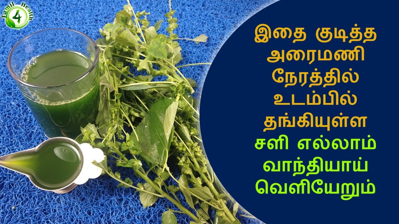 இதை குடிச்ச அரைமணி நேரத்தில் சளி எல்லாம் வாந்தியாய் வெளியேறும் | sali ...