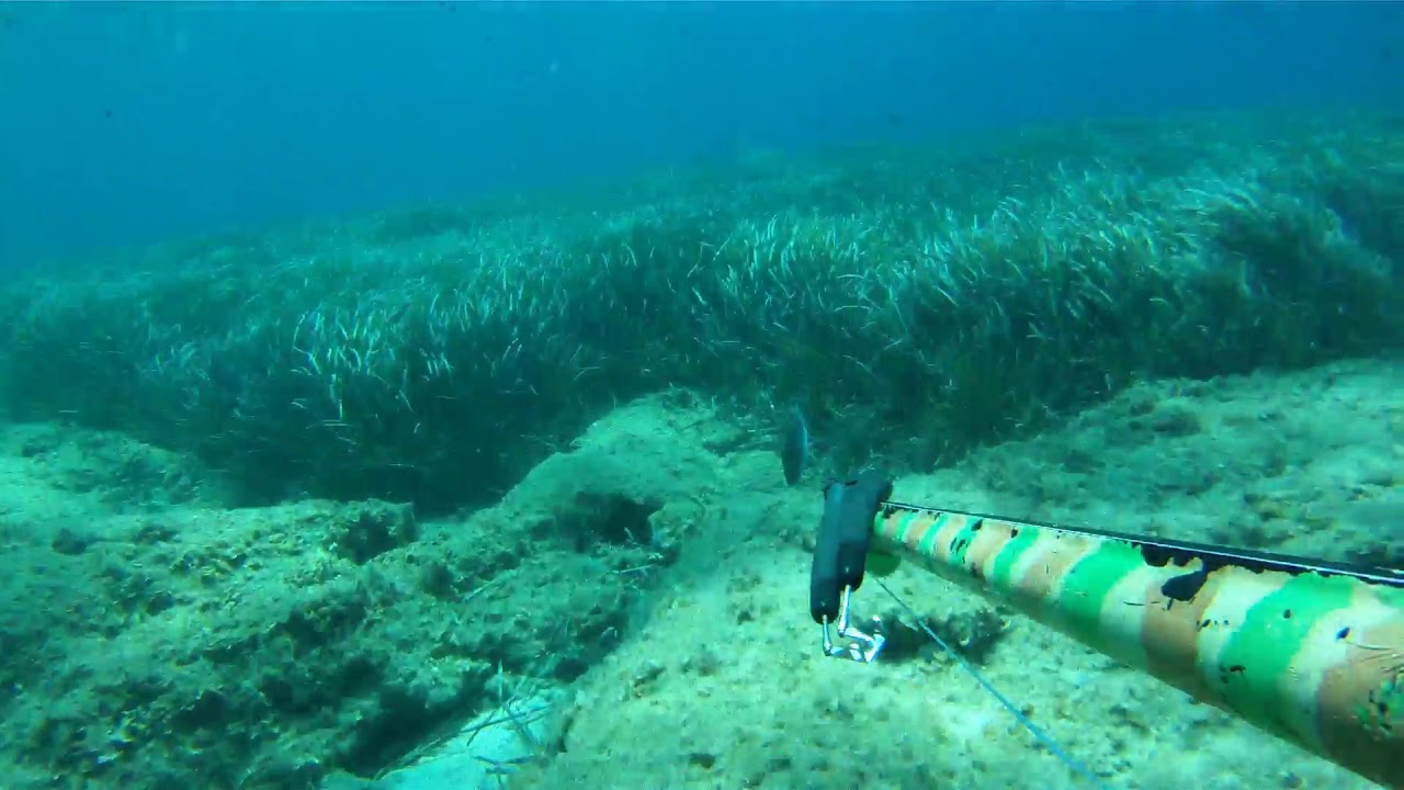ψαροντουφεκο 12 8 2017 μερος 2ο τελος spearfishing - YouTube