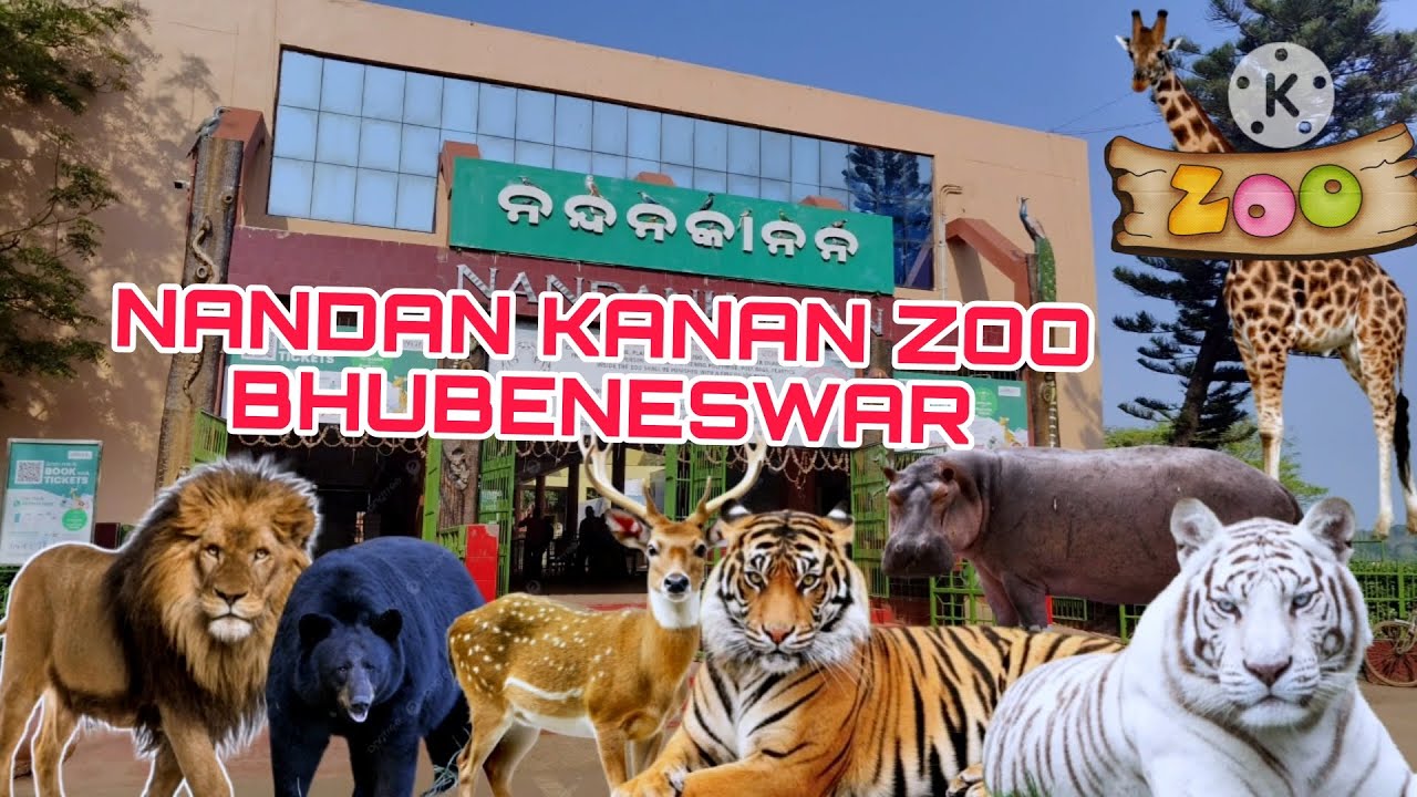 Nandan Kanan zoological park Bhubaneswar ll Best zoo in odisha ll ...