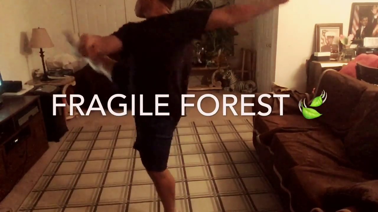 Fragile Forest - Kalani Hilliker - YouTube