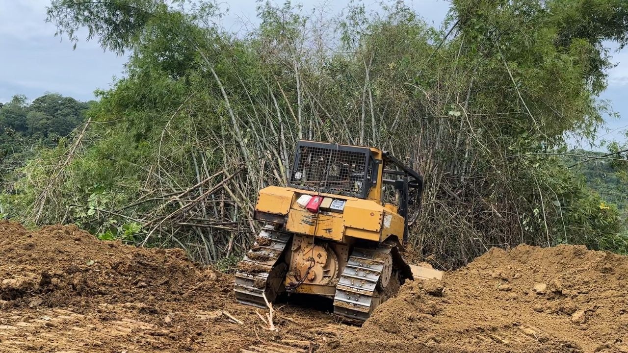 Amazing! D6R XL Bulldozer Overcomes Bamboo Obstacle in Road Repair ...