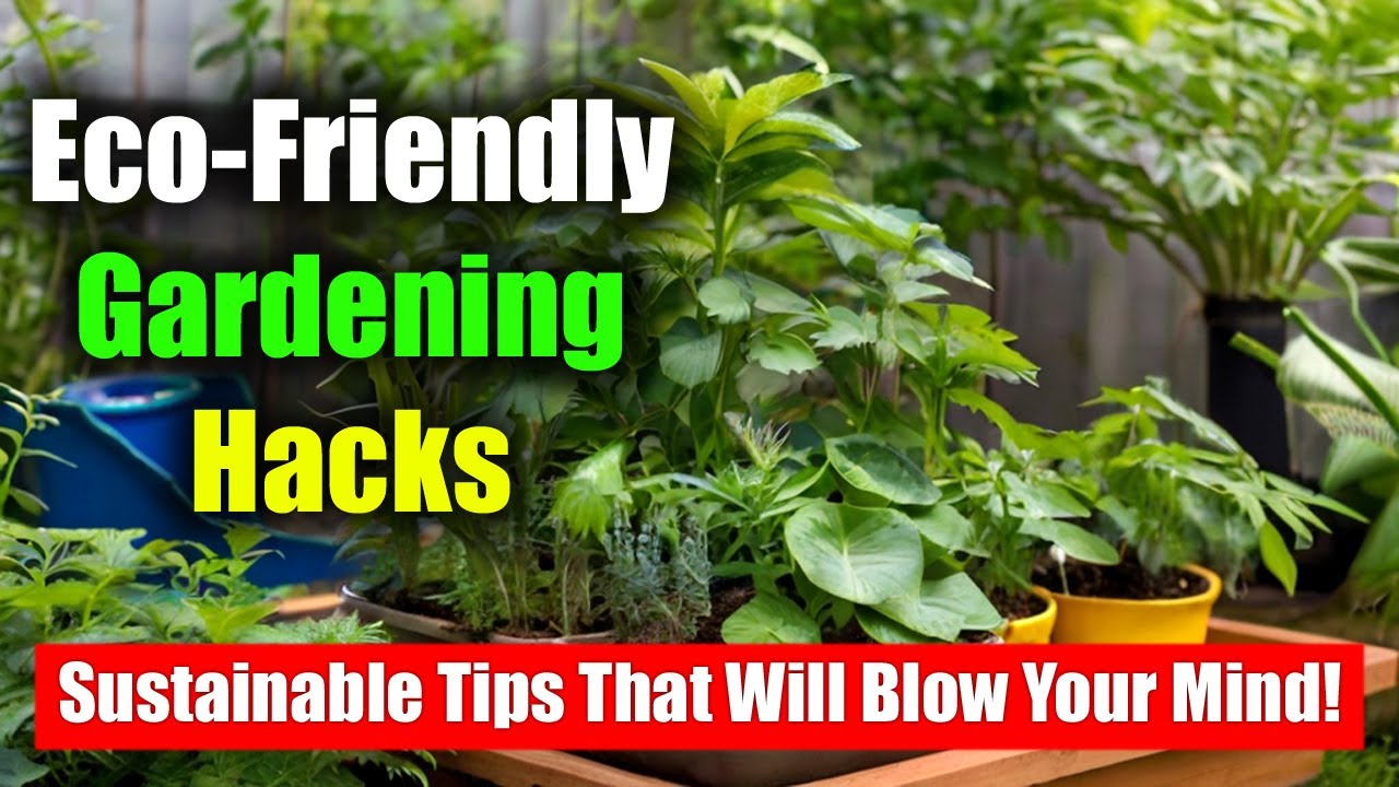 Eco-Friendly Gardening Hacks: Sustainable Tips That Will Blow Your Mind ...