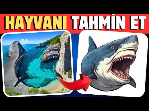 Gizli Hayvanı Bul 🦁🐍🐙 30 Kolay ve Zor Seviye Bulmaca 🟢 Bilmece 🔵 Farklı Emojiyi Bul - KankaTV