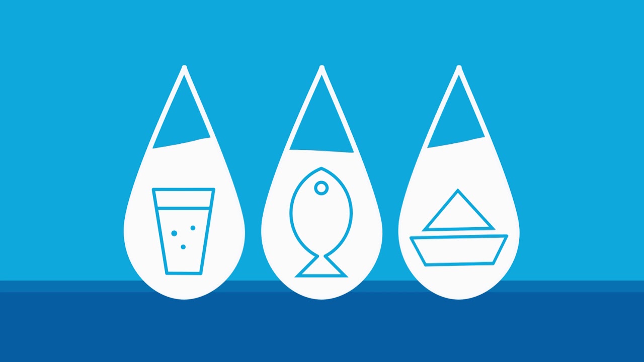 Why water quality monitoring matters - YouTube