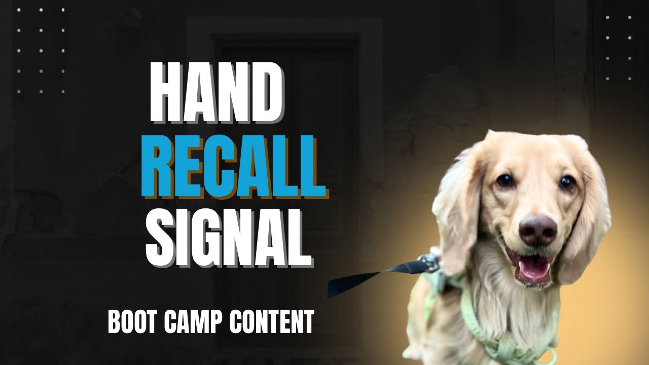 Recall hand signal - YouTube