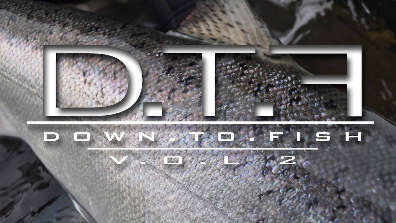 D.T.F Vol. 2 - YouTube