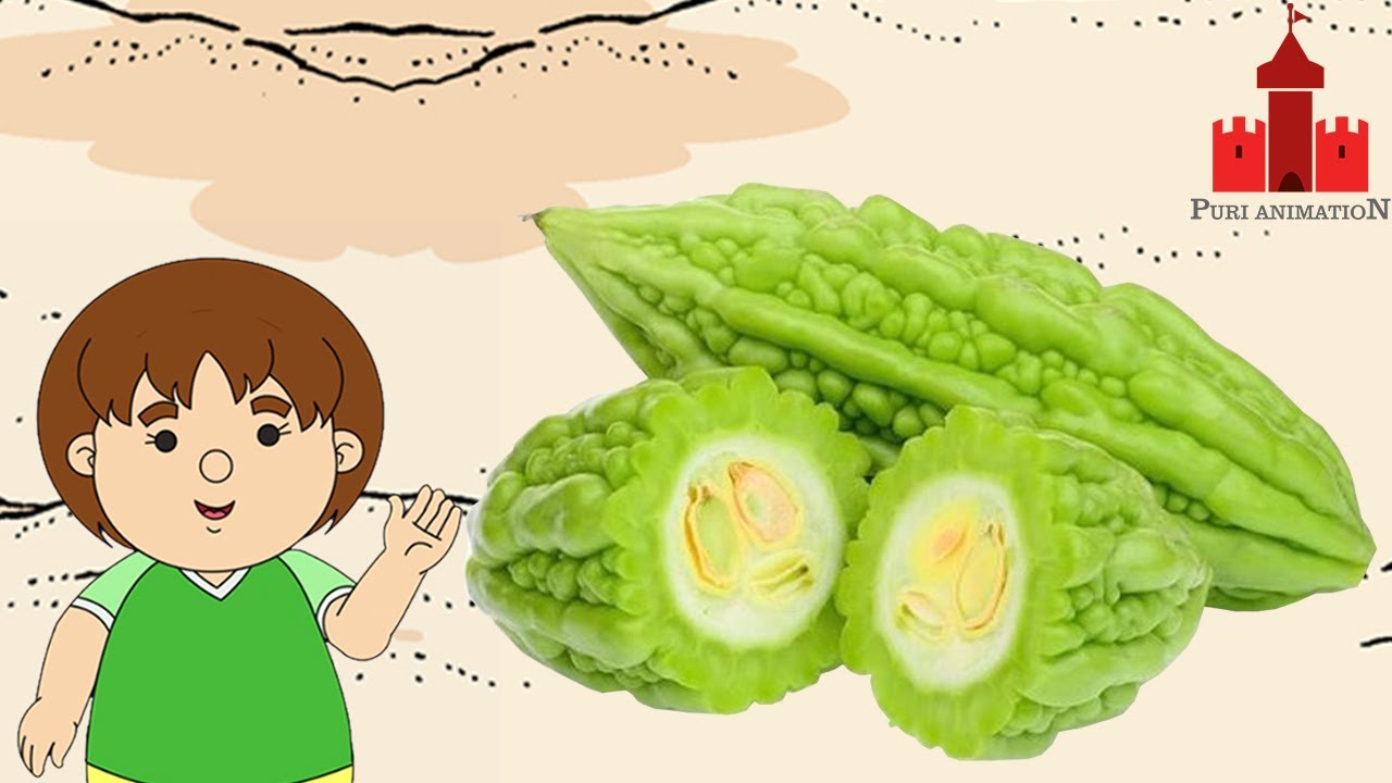 Mengenal Buah Pare | Puri Animation - YouTube