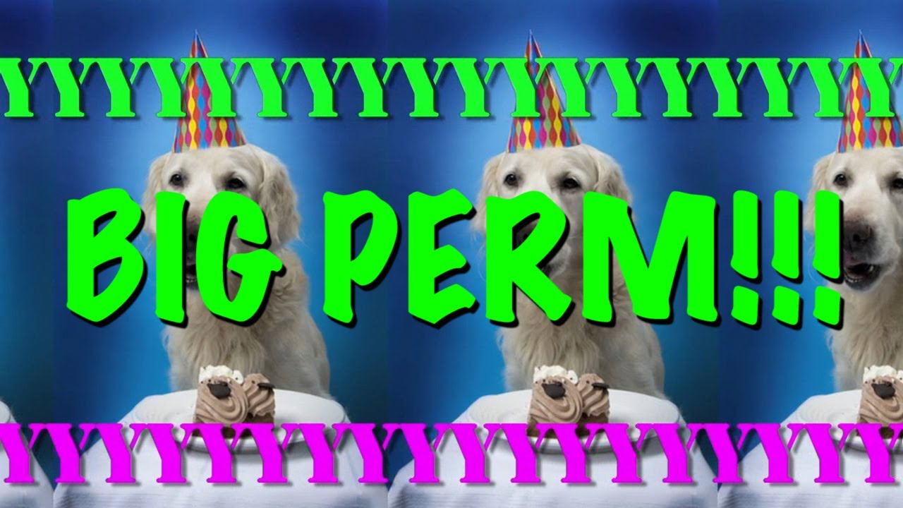 HAPPY BIRTHDAY BIG PERM! - EPIC Happy Birthday Song - YouTube