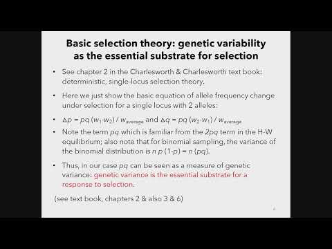 QBio Program: Thomas Flatt: Evolutionary Biology - Class 3 - YouTube