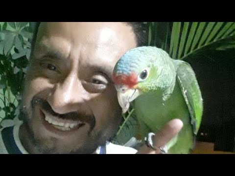 Saca El Perico - YouTube