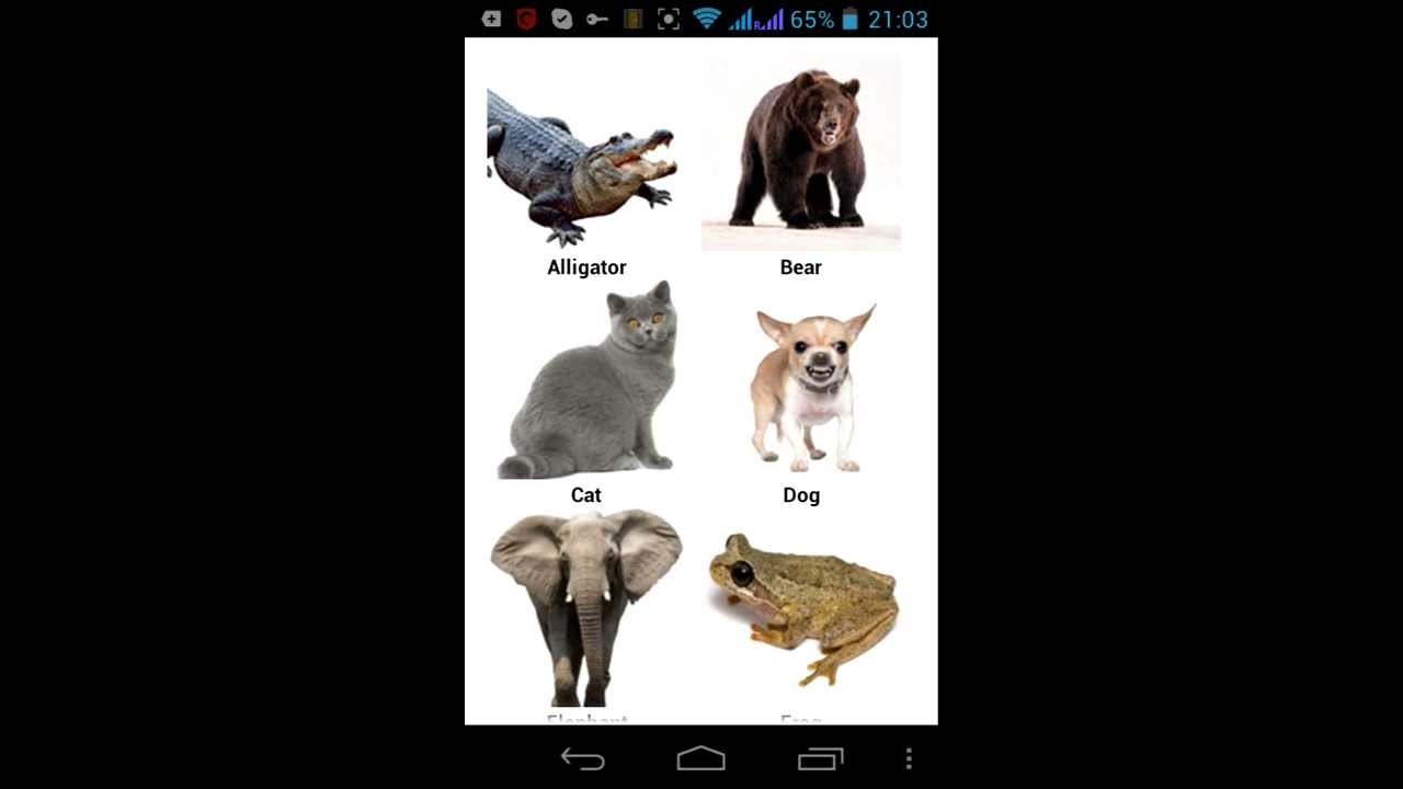 ABC Animal Sounds - YouTube