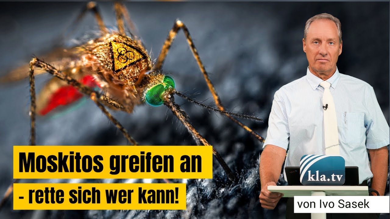 Moskitos greifen an – rette sich wer kann! (Von Kla.TV-Gründer Ivo ...