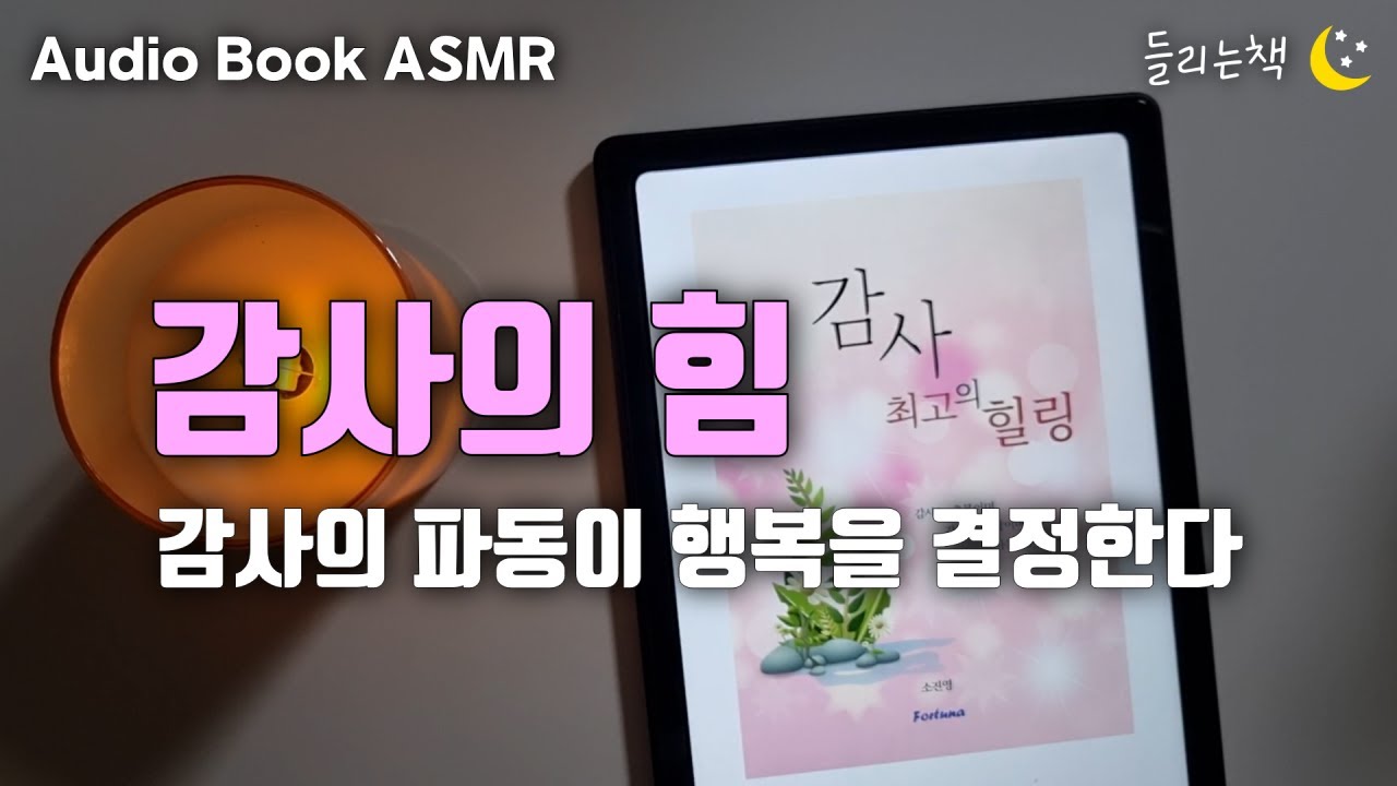 감사하면 인생이 행복해진다 감사 최고의 힐링ㅣ수천억 부를 가져오는 감사의 힘ㅣ오디오북ㅣ책읽어주는 여자ㅣ잠잘 때 듣는ㅣ수면 태교 힐링 Youtube