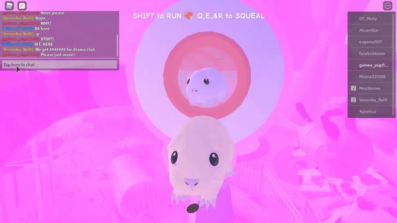 Playing Guinea pig Simulator - YouTube