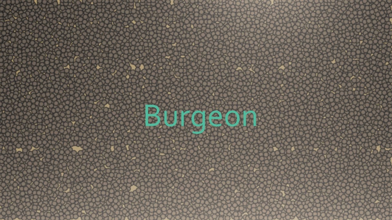 Vocabulary Word of the Day - Burgeon - YouTube