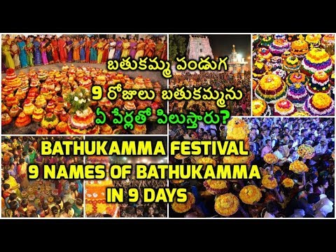 Bathukamma Festival of flowers 9 Days Names|telangana bathukamma ...