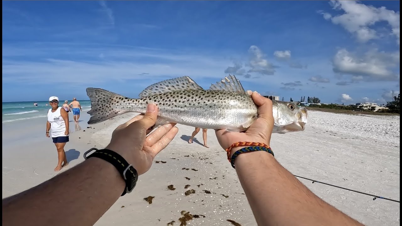 Last Day of Florida Spring Break Fishing (5+ Species Caught!) - YouTube