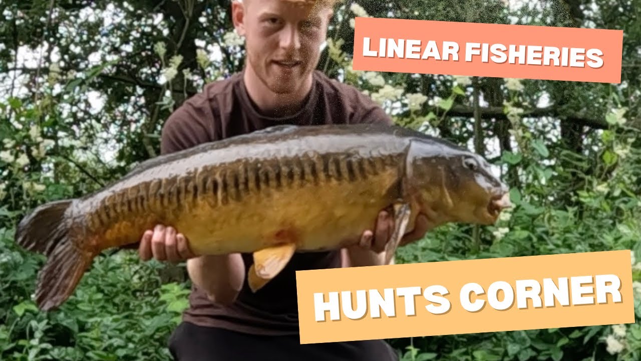 Linear Fisheries | 48 hours on Hunts Corner | July 2024 - YouTube