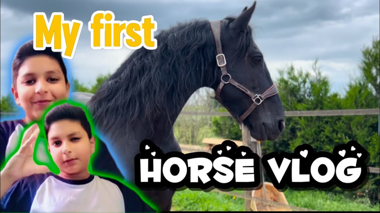 Meet the Horses! | My First Horse Vlog 🐴🌟 - YouTube