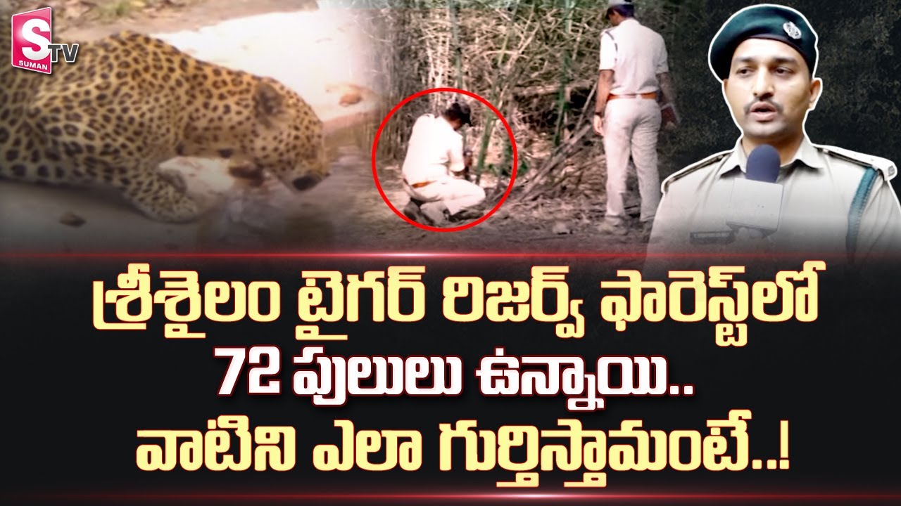 Nagarjuna Sagar Srisailam Tiger Reserve Special Story | Srisailam ...