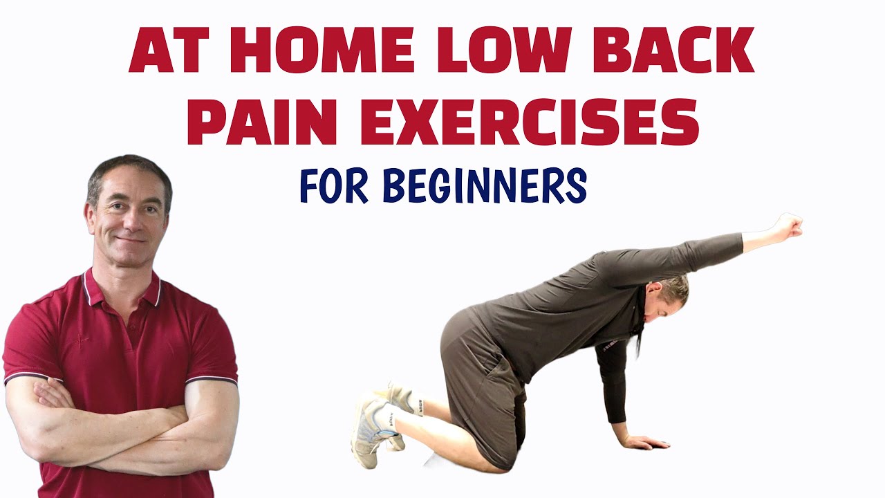 At Home Low Back Pain Exercises For Beginners - YouTube
