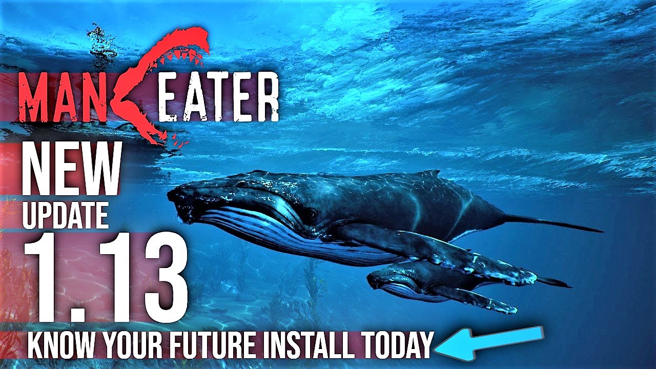 New ManEater Update 1.13 🦈 Patch Notes Gaming News 2021 - YouTube