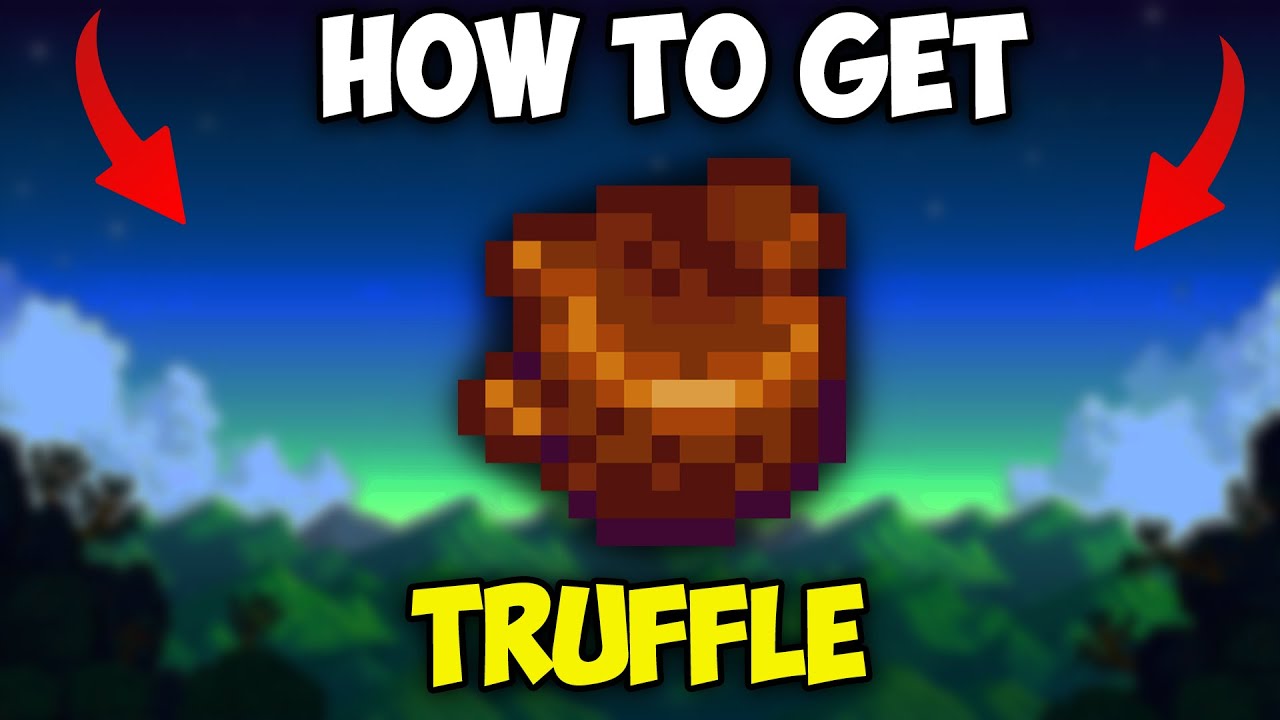 how to get TRUFFLE in Stardew Valley 1.6 - YouTube