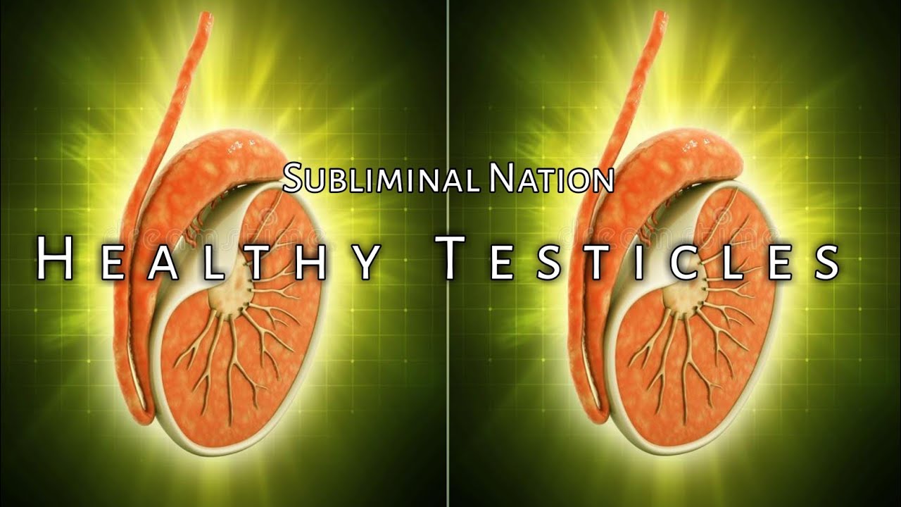 MUSIC VERSION 》 Healthy Testicles Subliminal Affirmations 《 Requested ...