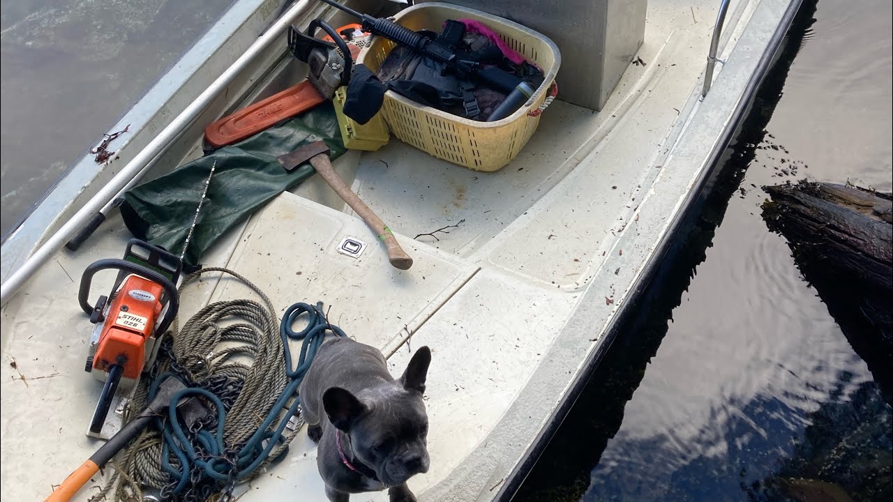 Hunting, logging, and a great day - YouTube