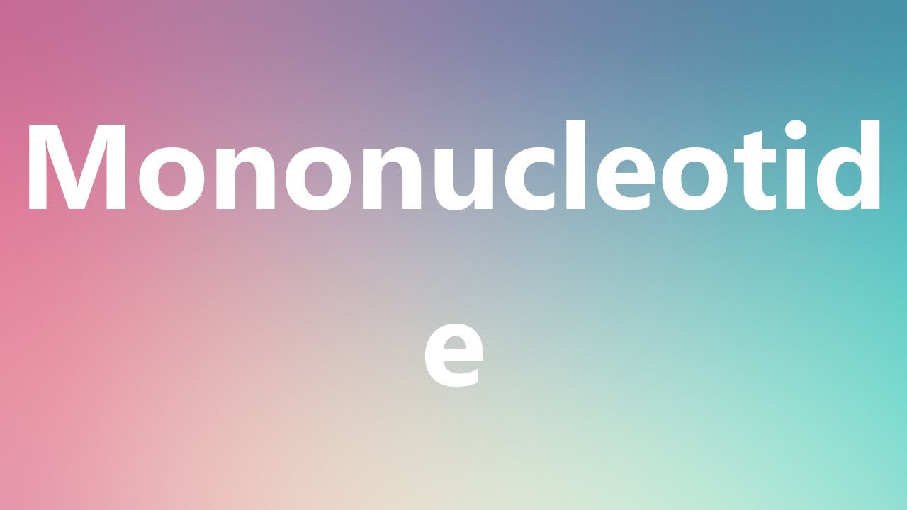Mononucleotide - Medical Meaning and Pronunciation - YouTube