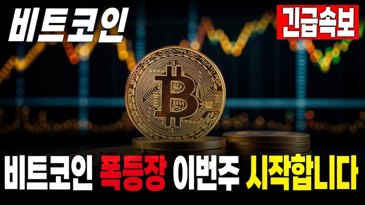 비트코인 전망 비트코인 폭등장 이번주부터 시작합니다 큰돈 벌어갈 수 있는 기회 이번이 마지막 기회입니다 비트코인상승 비트