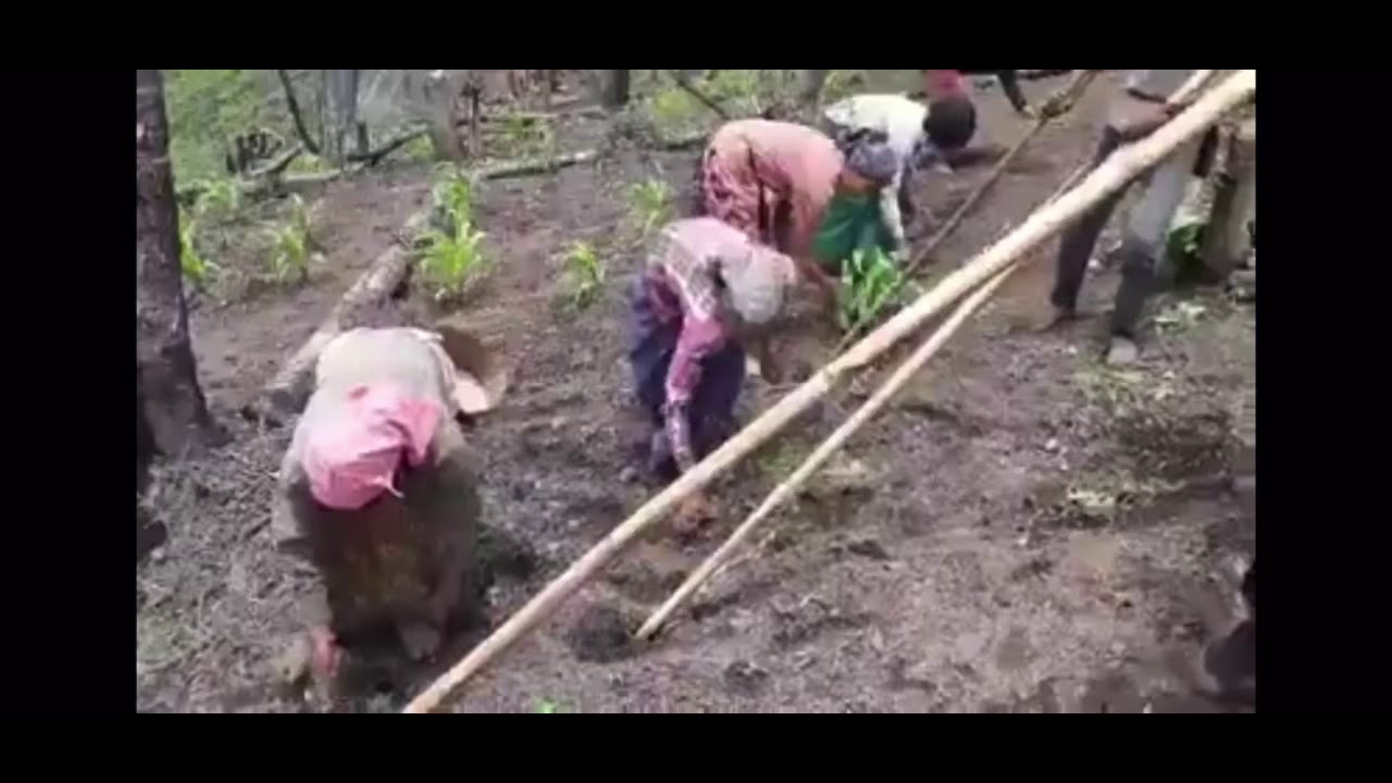 Life of Karen farmers - YouTube