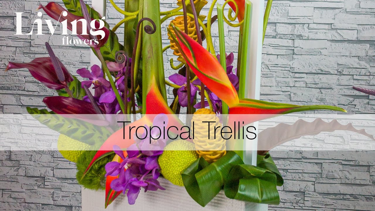 Tropical Trellis Flower Design for Florists and Floral Designers - YouTube