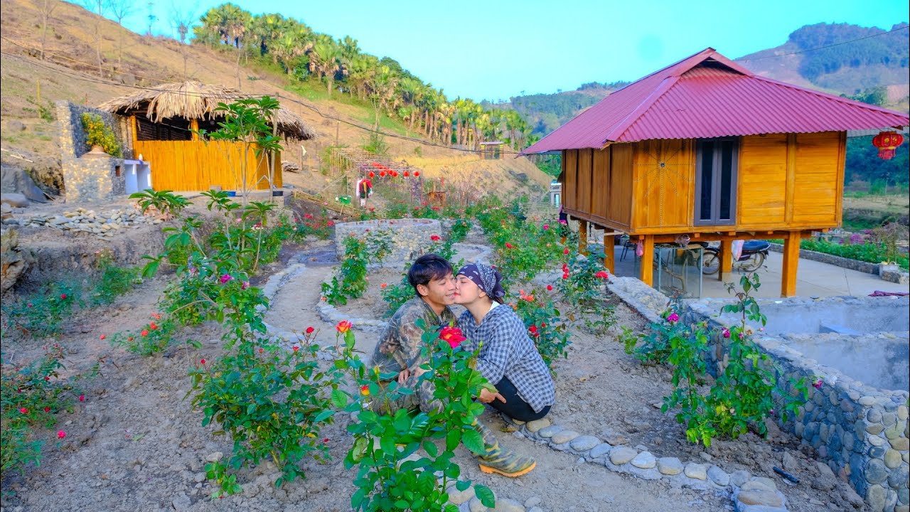 Sang Vy built a beautiful rose garden, painted the gate and decorated it for Tet - farm - YouTube