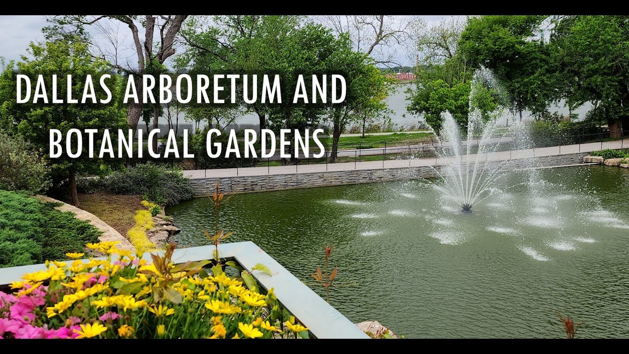 A must see - Dallas Arboretum & Gardens a nature lover's paradise in ...