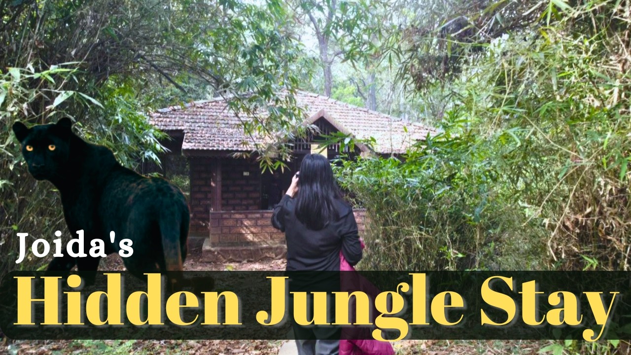 Best Forest Homestay in Dandeli | Hidden Jungle Stay in Joida 🌿 ...