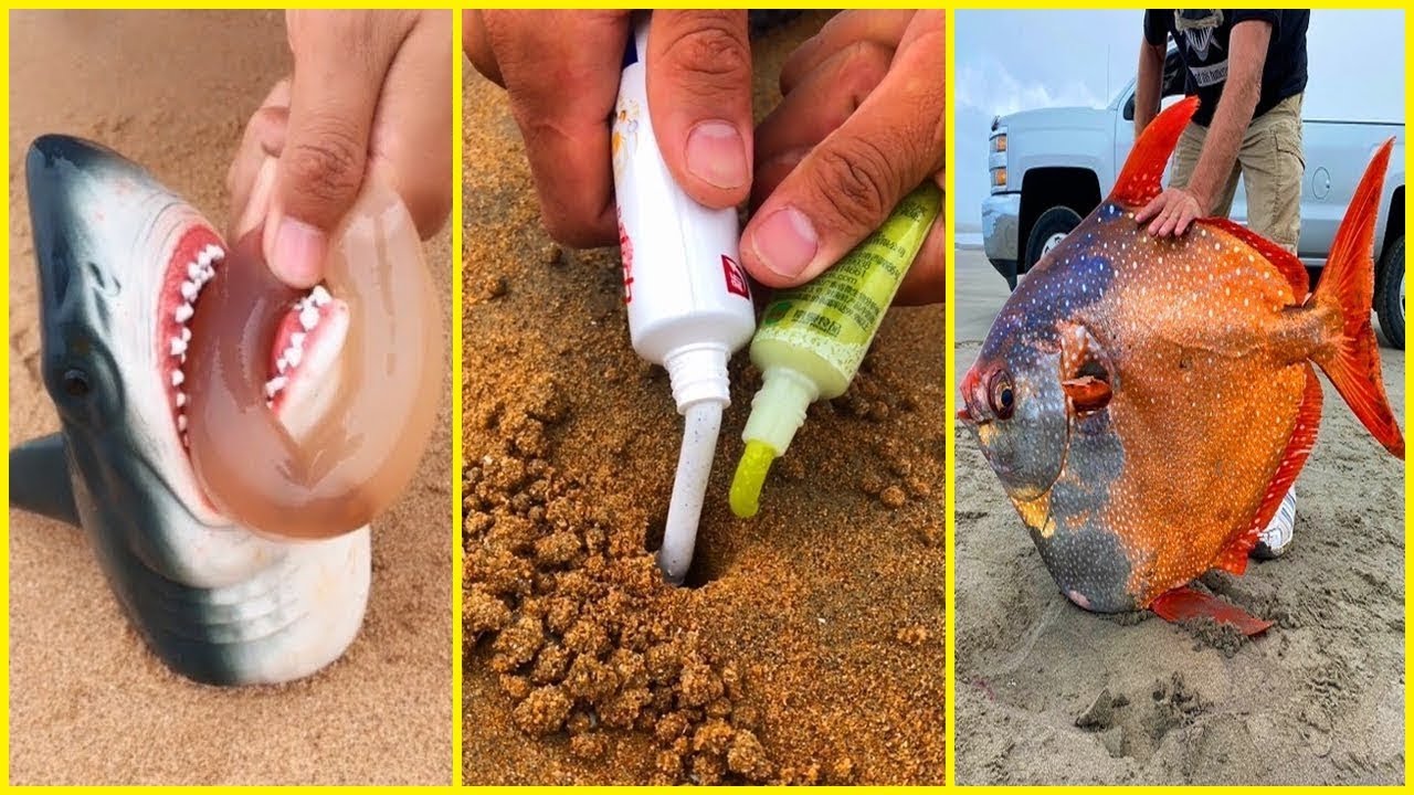 Catching Seafood 🦂🦀🐙 ASMR Relaxing 🦈Catch Shark 🐟 Catch Fish 🐠Deep Sea ...