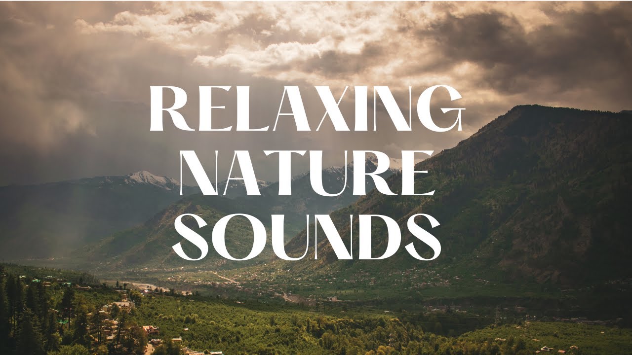 2 Hours of Nature Sounds for Productivity and Concentration - Relaxing ...