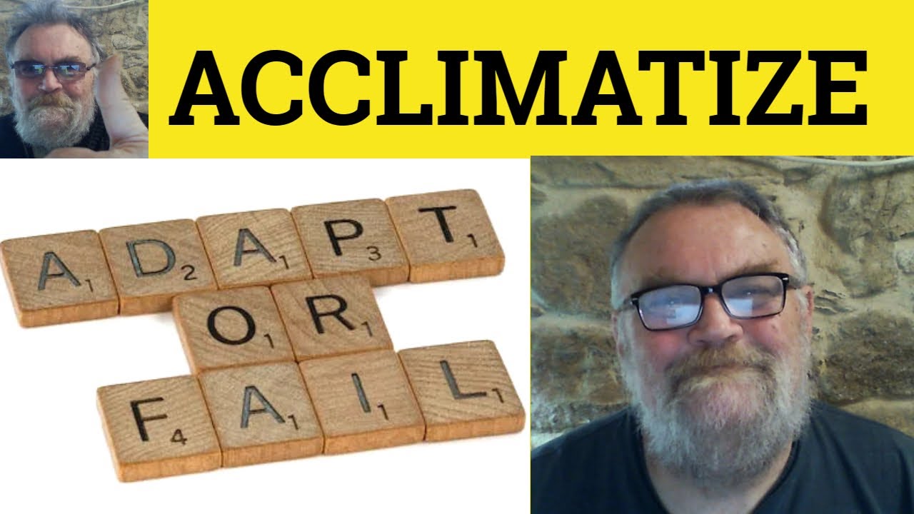 🔵 Acclimatize Meaning - Acclimatise Examples - Acclimate Definition ...