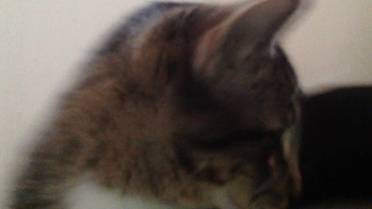 Lol check this out XD - YouTube